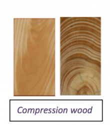 Warp in Dimension Lumber | SPIB Blog | Southern Pine Inspection Bureau