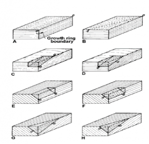 What is Wood Grain - Part 2 | SPIB Blog | Southern Pine Inspection Bureau